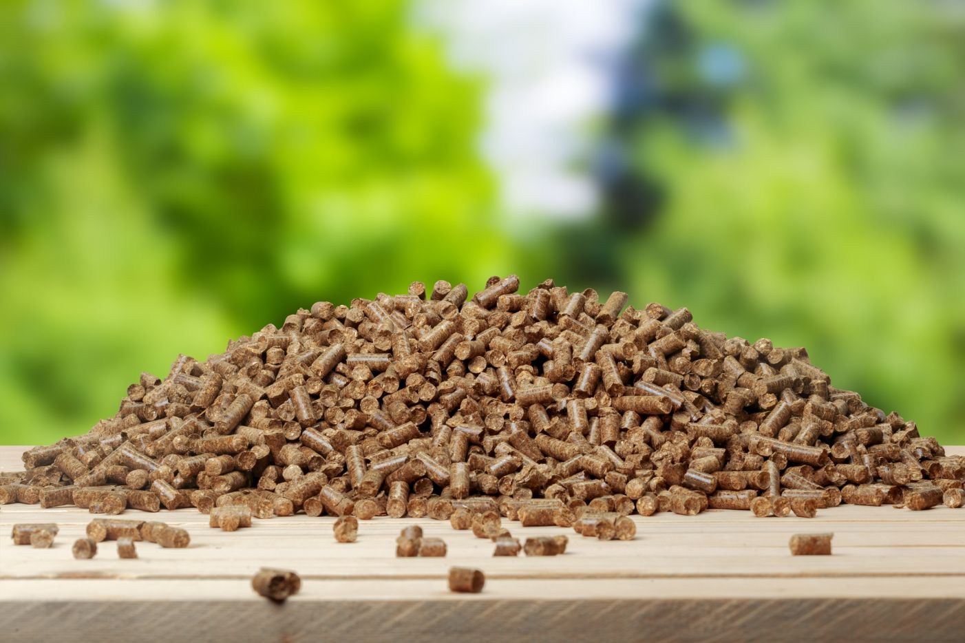 Sfruttare il potenziale del pellet in casa per vivere sostenibile | Conad